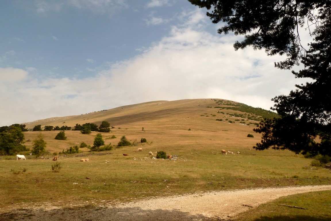 17 août 2016 : Pique-nique au col d’Arron – Le tambourinaïre